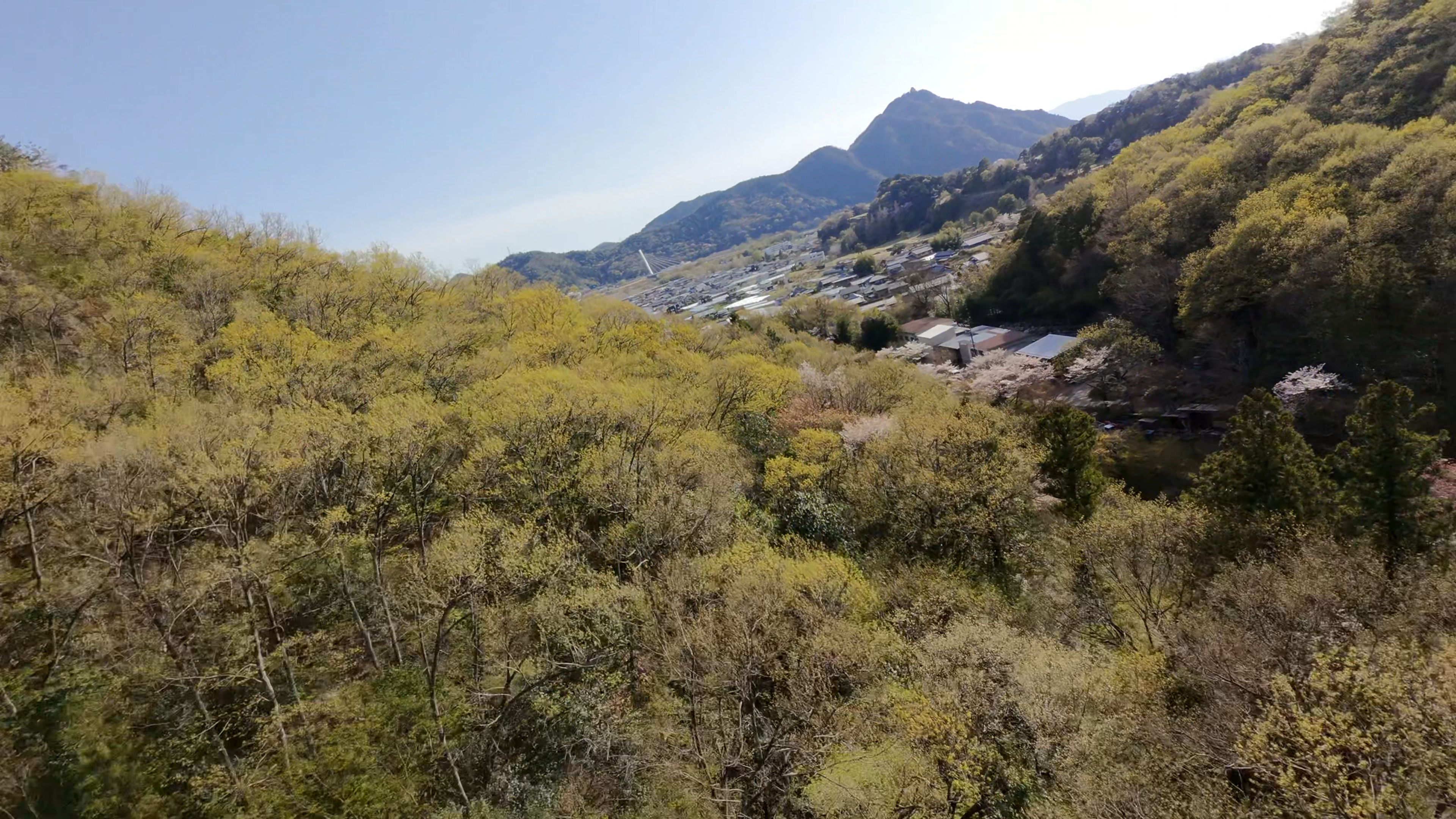 Embracing Nature: My Journey in Forest Surfing - Karl | Life in Japan